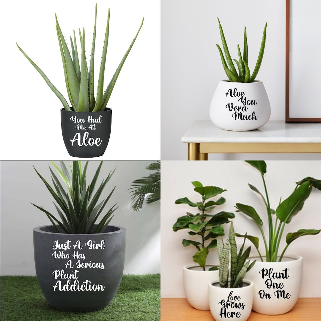 DIY Pot Plant Vinyl Decal Stickers Large 180mm Wide Indoor Outdoor ...