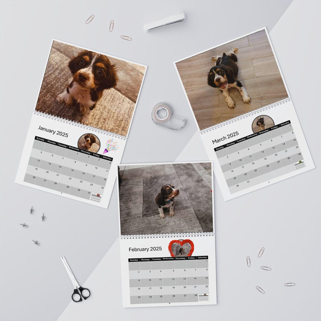 Cocker 2025 Wall Calendars Featuring Oreo Cute Yearly Planner for Dog ...