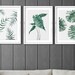 Set of 3 Botanical Prints, Watercolor Minimalist Wall Art, Printable ...