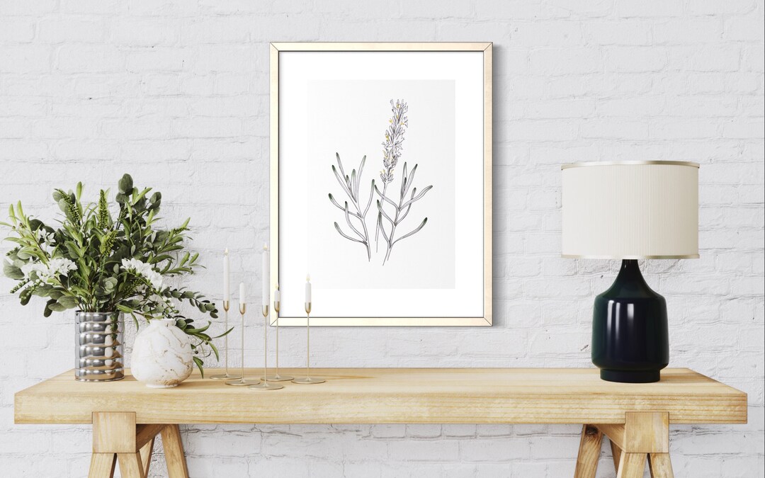 Printable Lavender Botanical Poster, Minimalistic Wall Art - Etsy