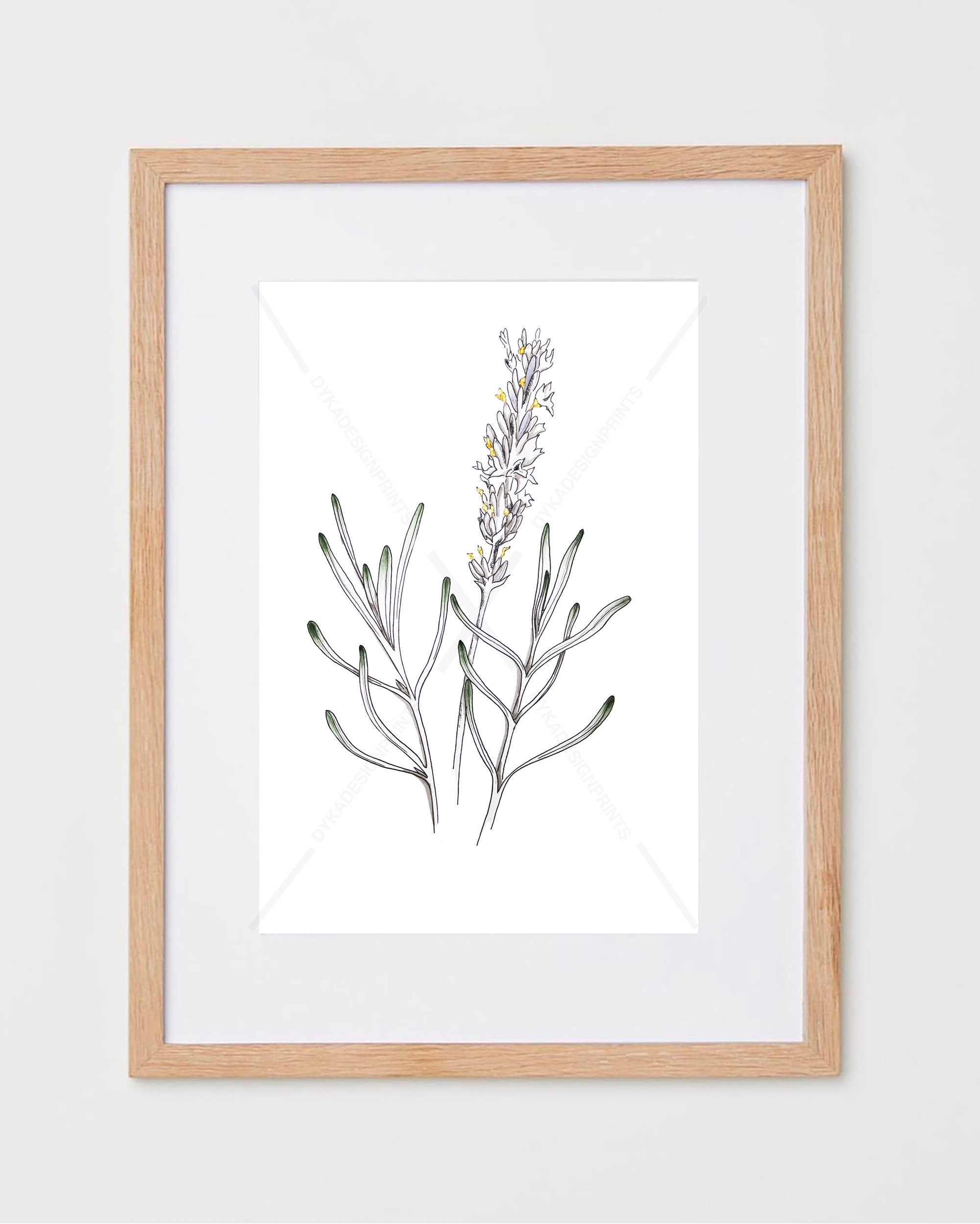 Printable Lavender Botanical Poster, Minimalistic Wall Art - Etsy