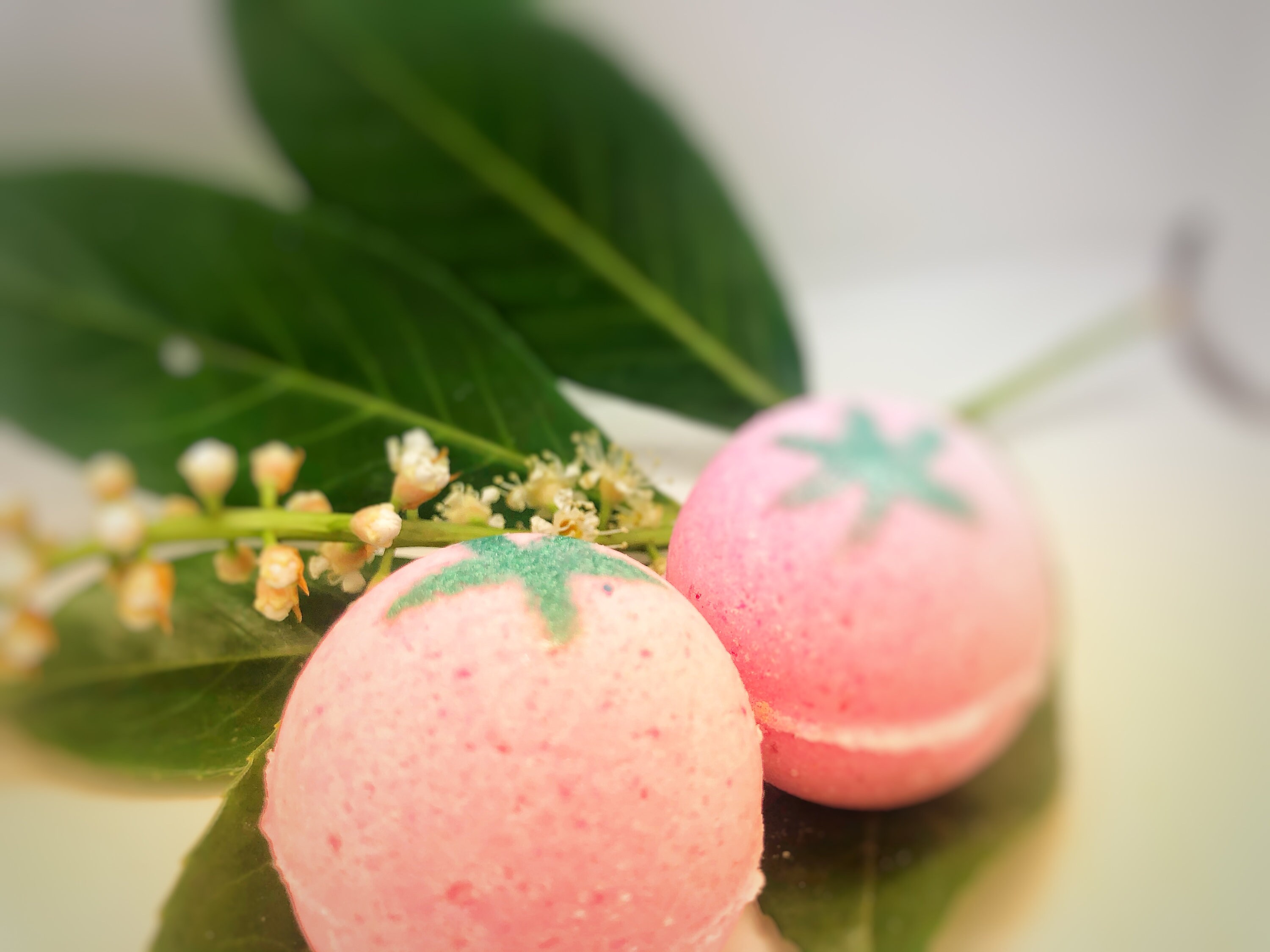 Fruity Fizz Bag | Etsy