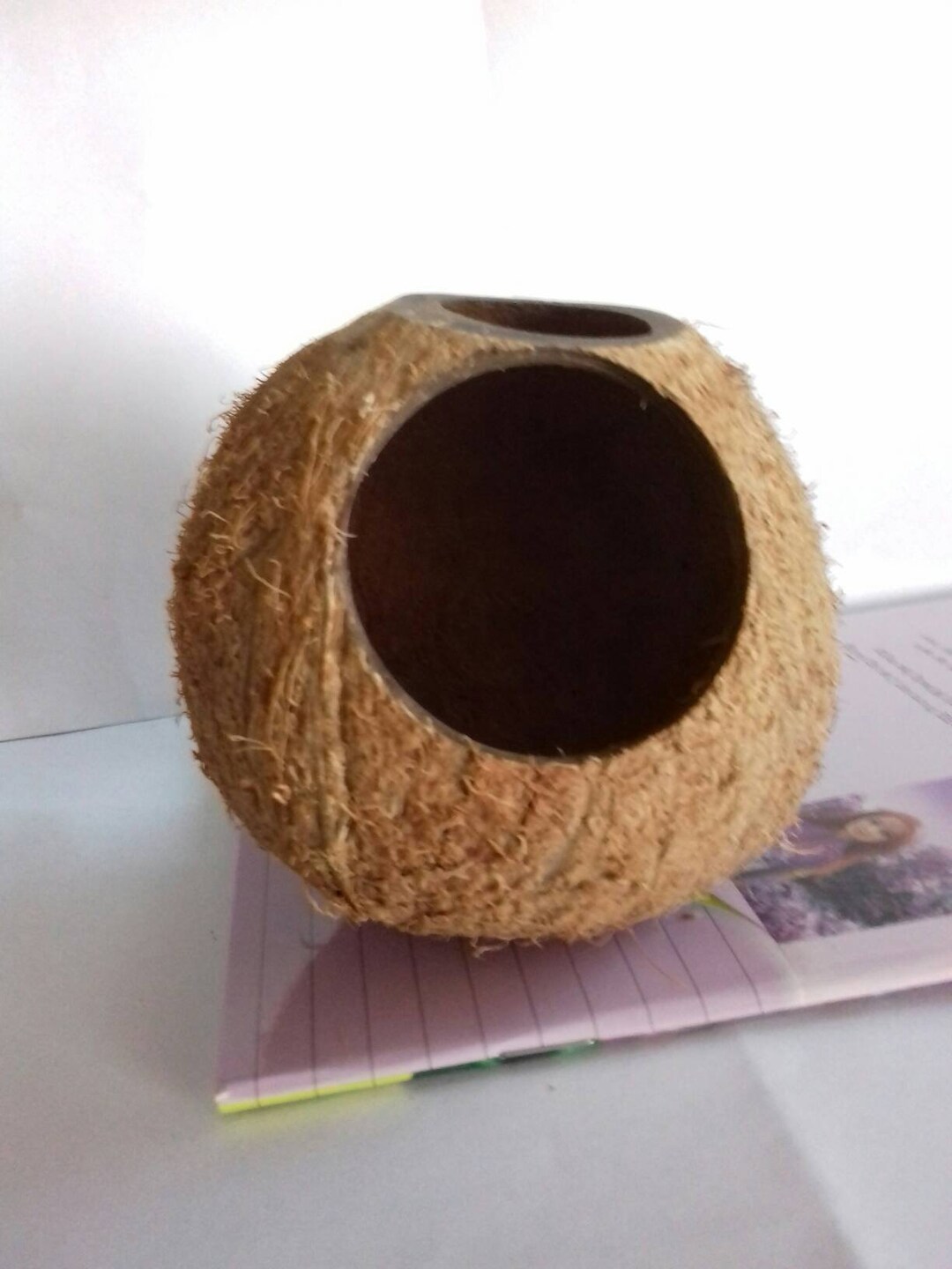 Aquarium House Small Coconut Shell Cave - Etsy