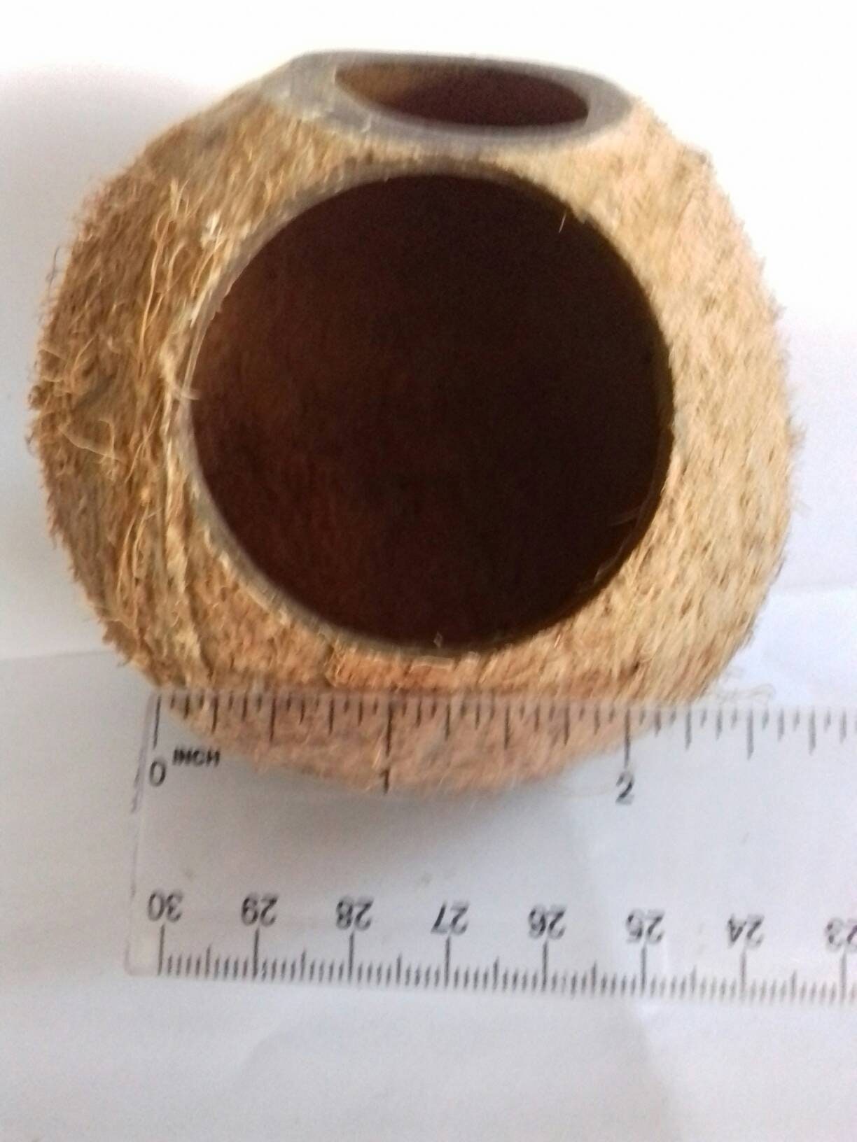 Aquarium House Small Coconut Shell Cave - Etsy