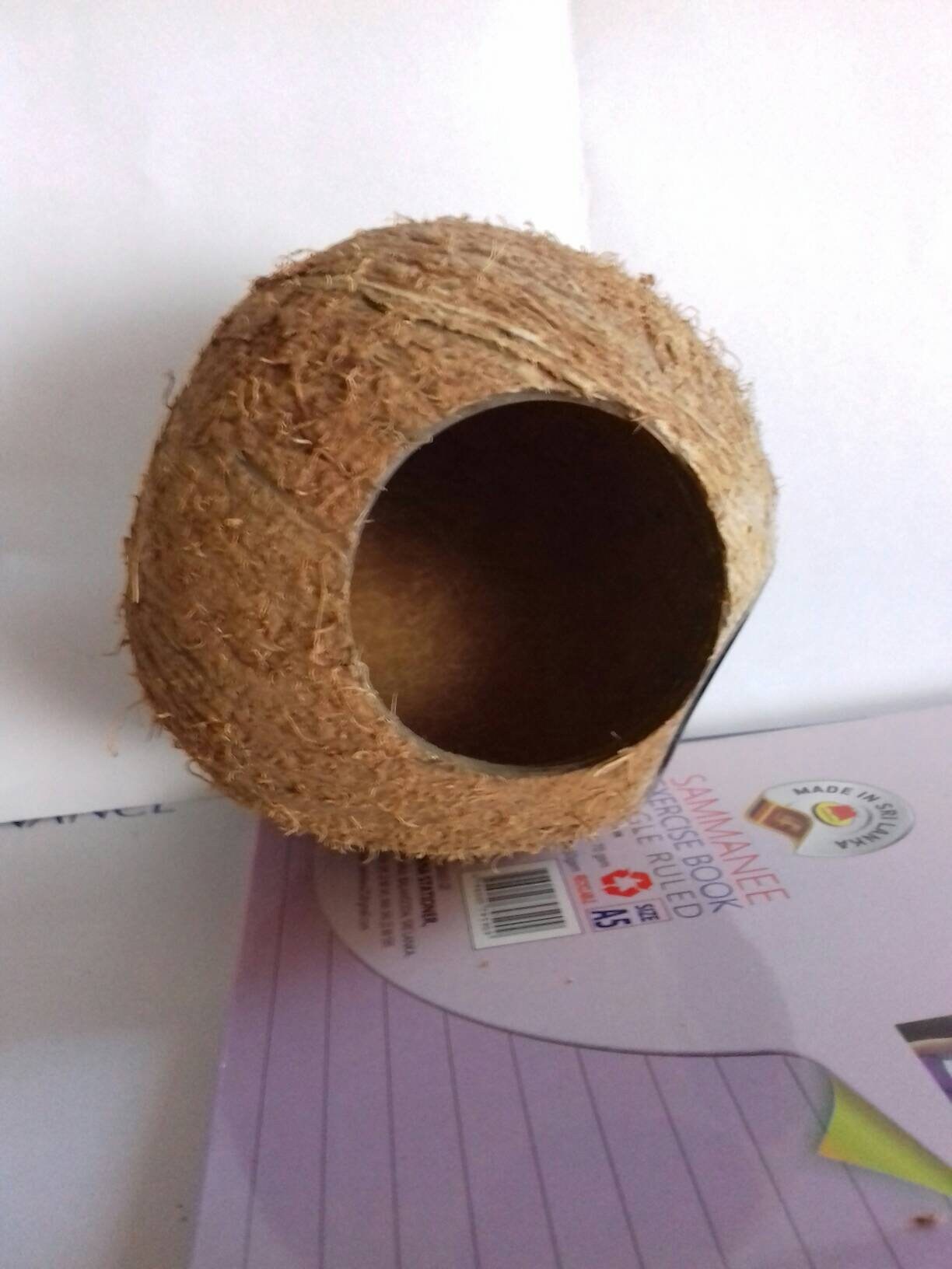 Aquarium House Small Coconut Shell Cave - Etsy