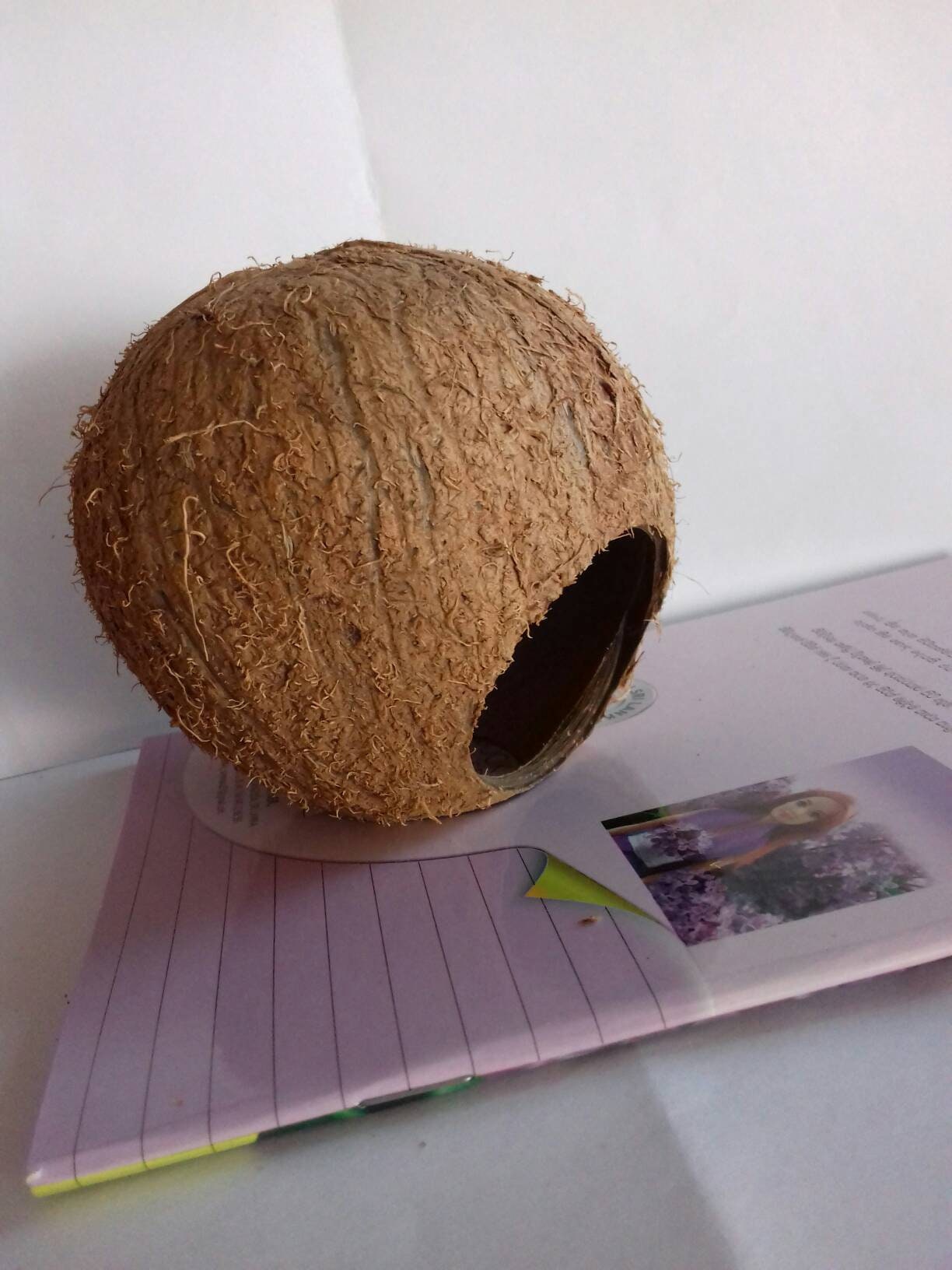 Aquarium House Small Coconut Shell Cave - Etsy