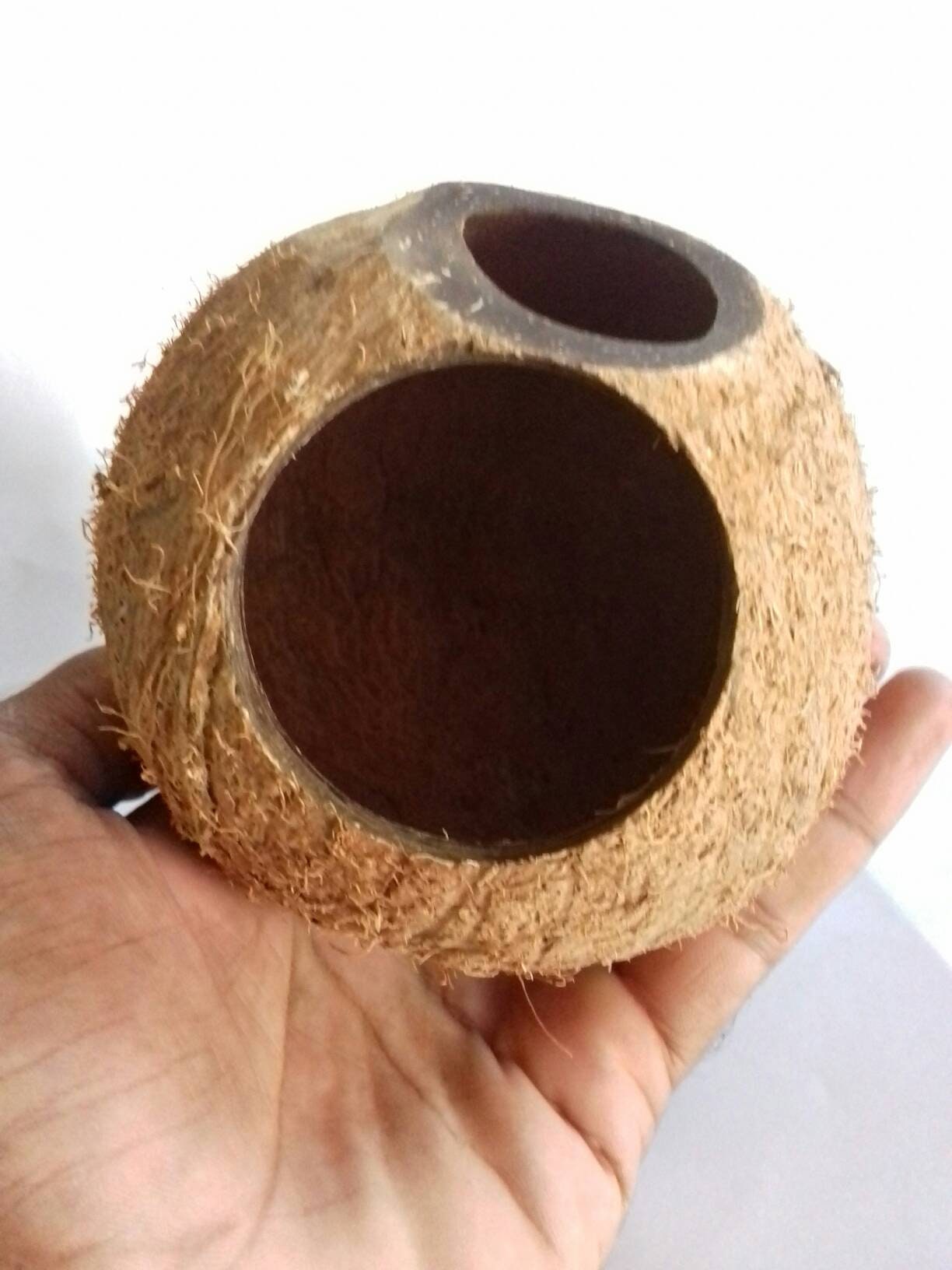 Aquarium House Small Coconut Shell Cave - Etsy