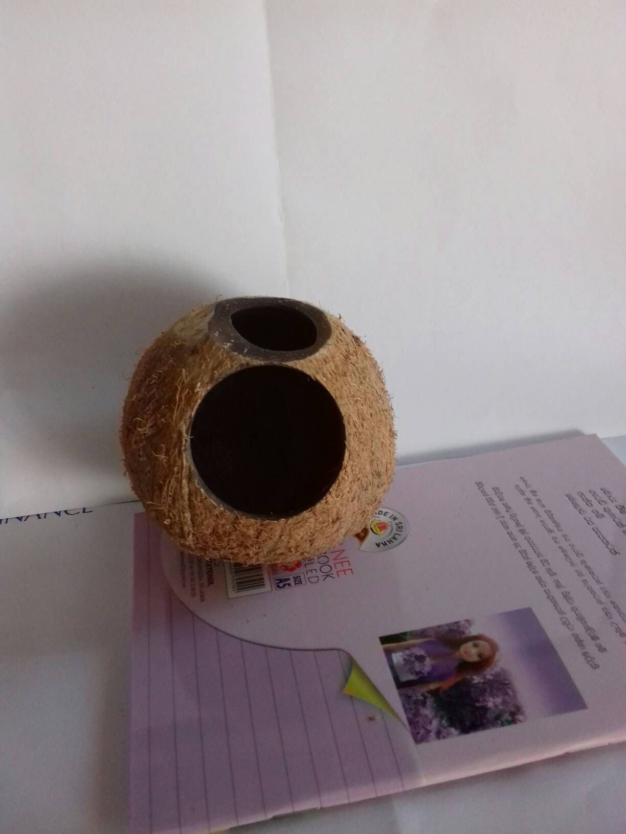 Aquarium House Small Coconut Shell Cave - Etsy