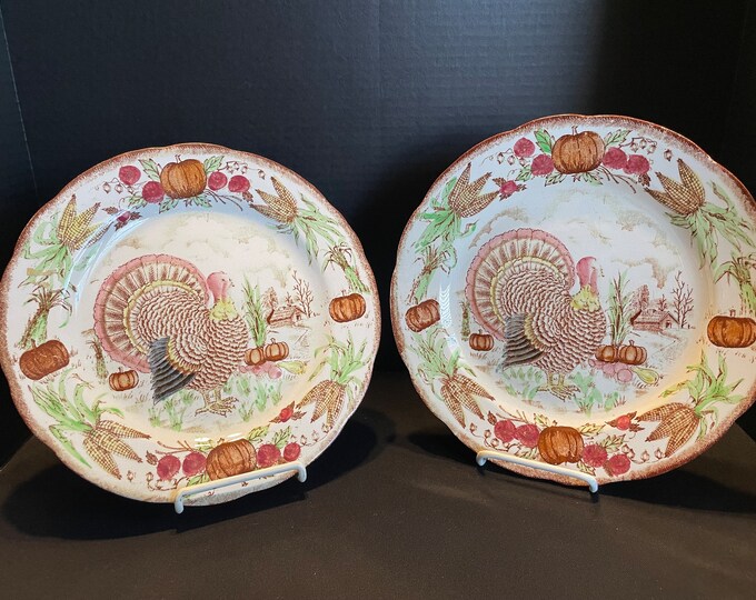 Vintage Large Turkey Plates - Etsy