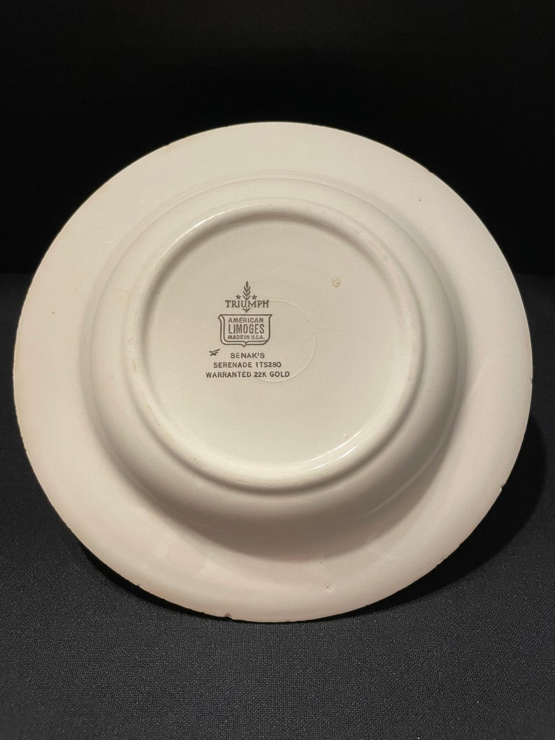 Vintage Triumph American Limoges Shallow Bowl - Etsy
