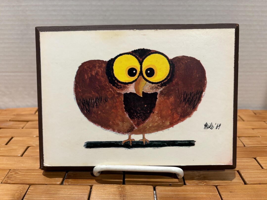 1969 Funky Groovy Owl Picture - Etsy