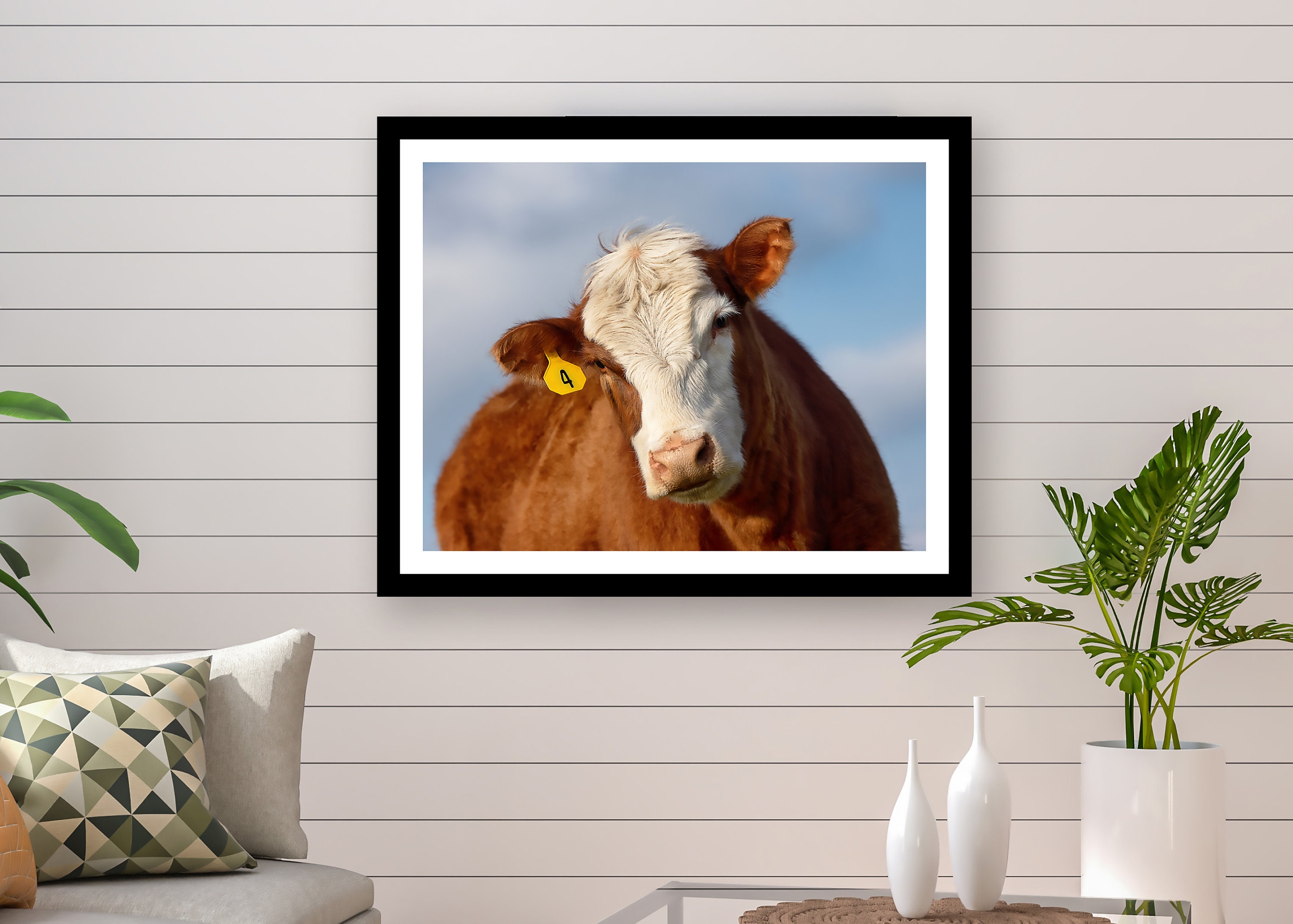 Cow Photography, Cow Print, Cow Poster, Animal Print, Cow Wall Art ...