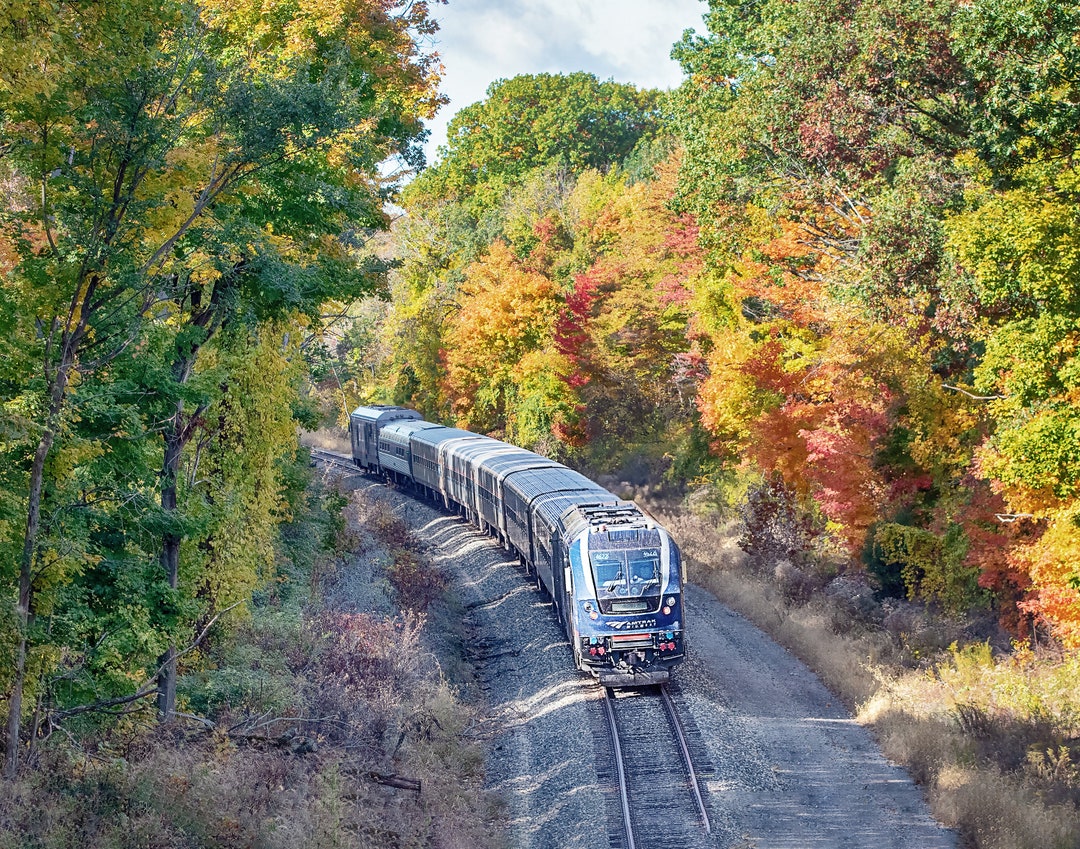 New Buffalo Michigan Amtrak Train Fall Photogaphy Fall Train Prints - Etsy
