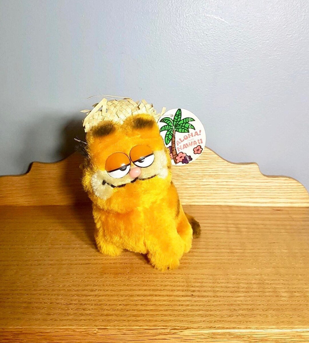 Vintage Garfield Hawaii Plush 1981 Straw Hat Stuffed Orange - Etsy