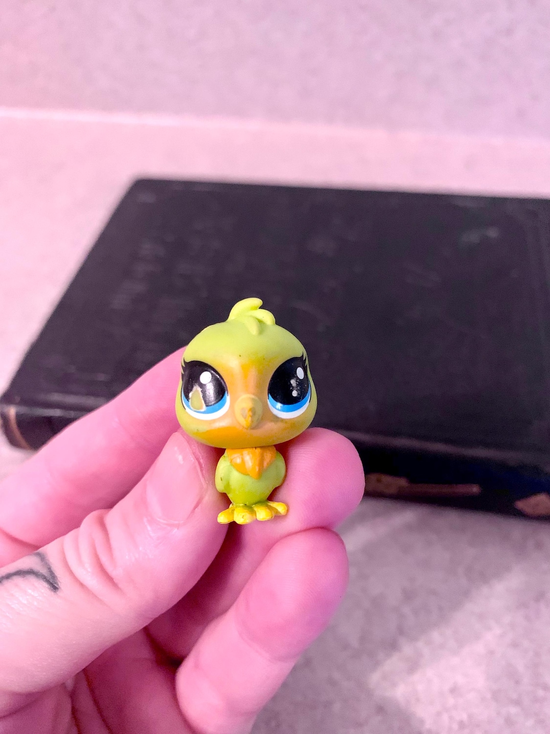 Littlest Pet Shop Lolly Lovington Green Orange Parakeet LPS Toy ...