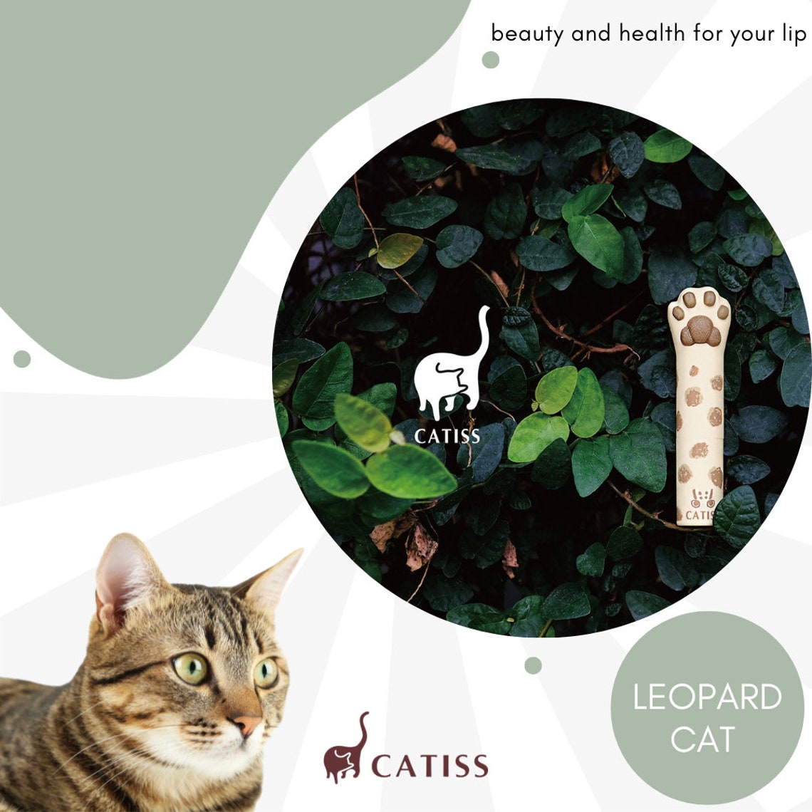 Leopard Cat Paw Design Lip Balm Original Pure Hydration - Etsy