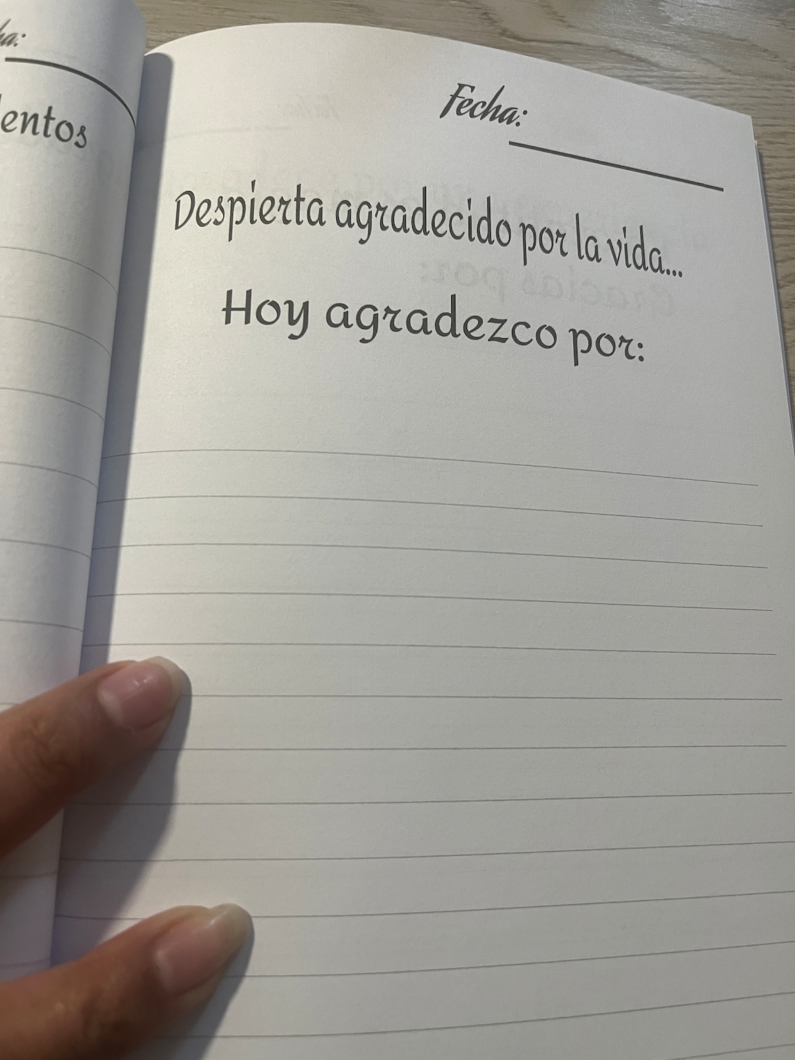 Diario De Gratitud En Español - Etsy