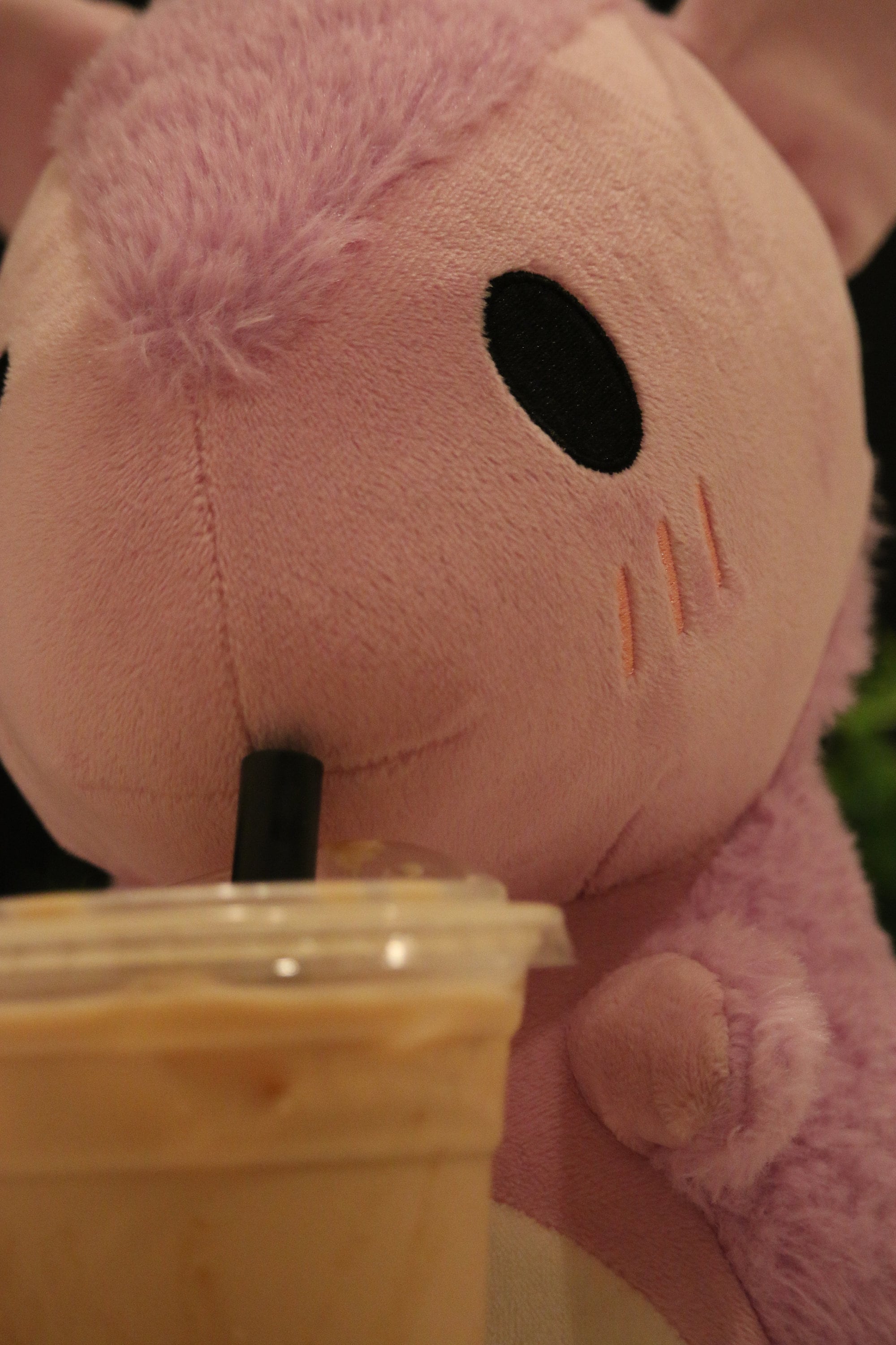 Victoria Brightshield Paladin Plushie - Etsy