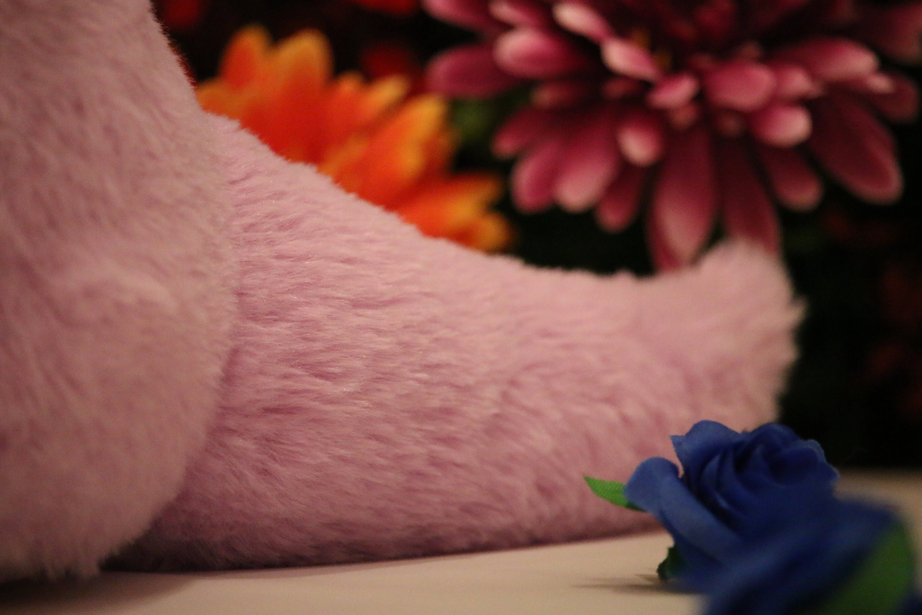 Victoria Brightshield Paladin Plushie - Etsy