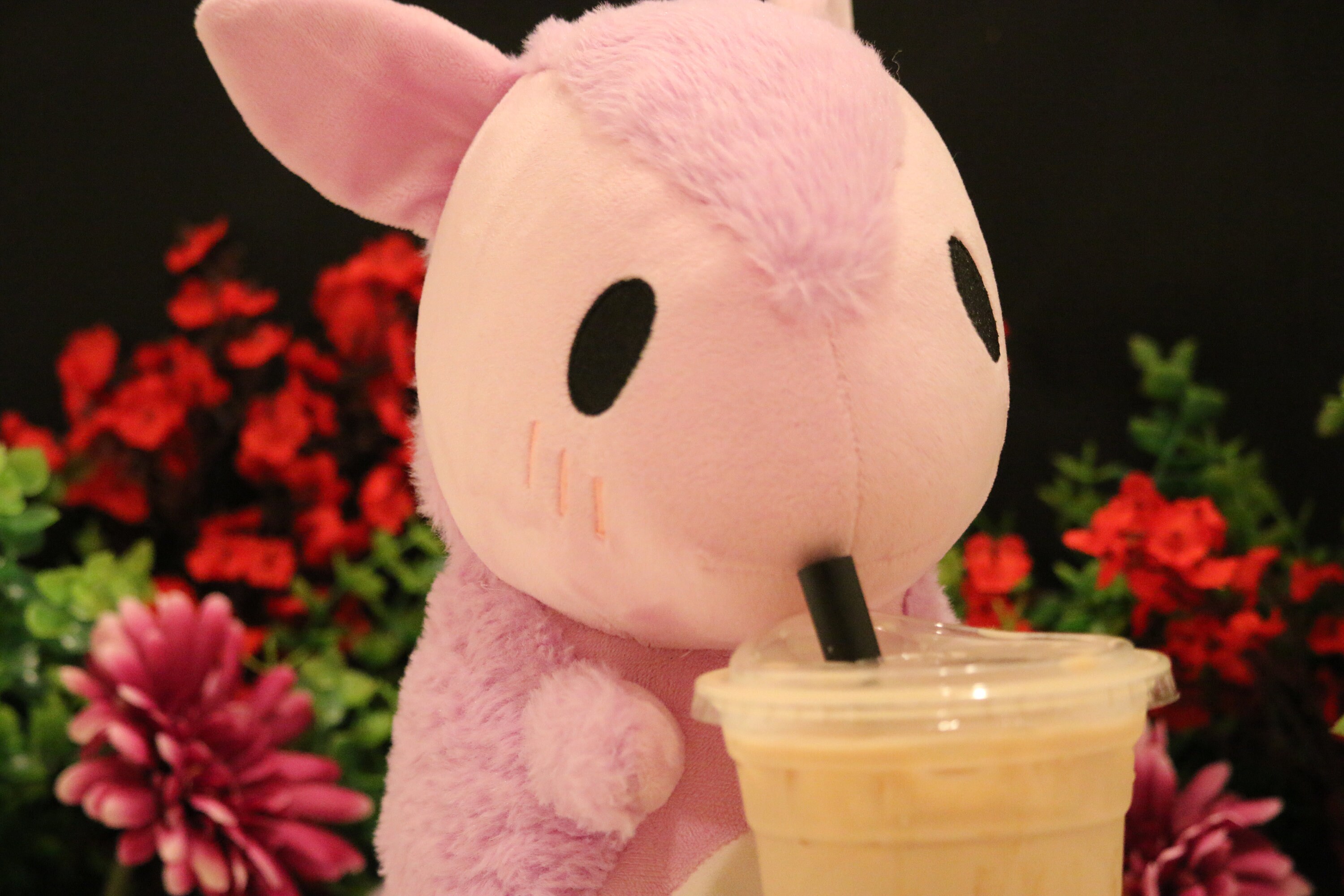 Victoria Brightshield Paladin Plushie PREORDER - Etsy