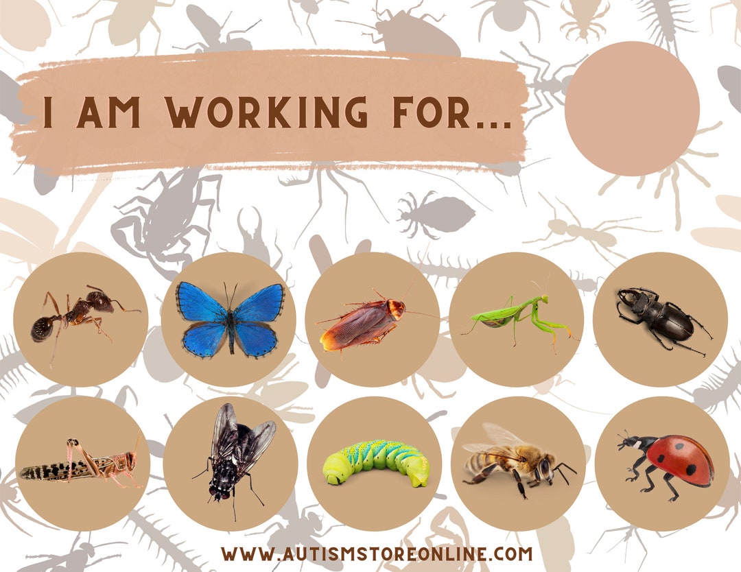 Token Board, Token System, Reinforcement, Insects Token Board, Token ...