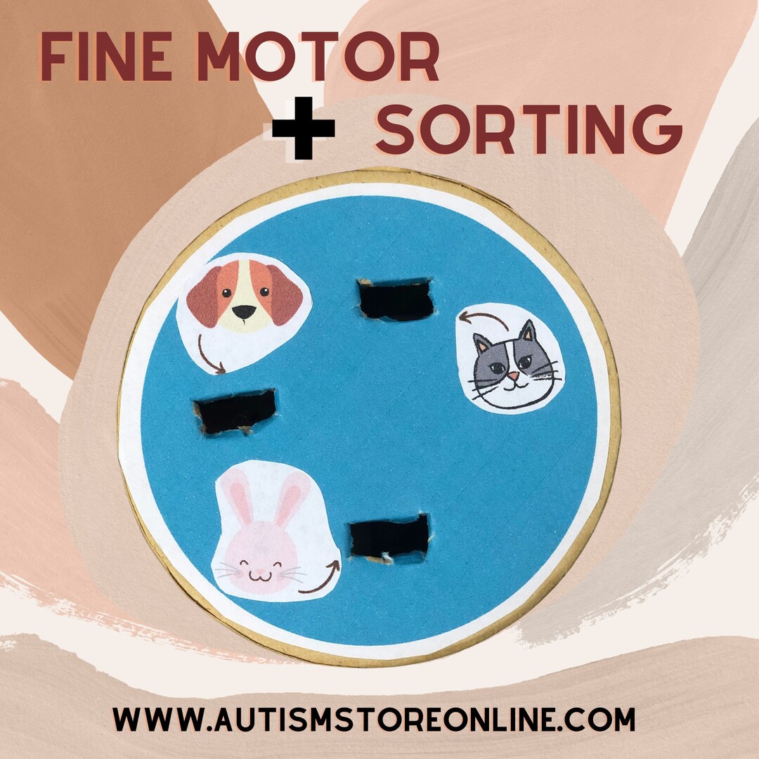 Fine Motor Skills, Sorting Activity, Special Education, Easy Activities ...