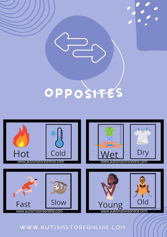 Teaching Opposites / Autism / SPED / Special Education | Etsy