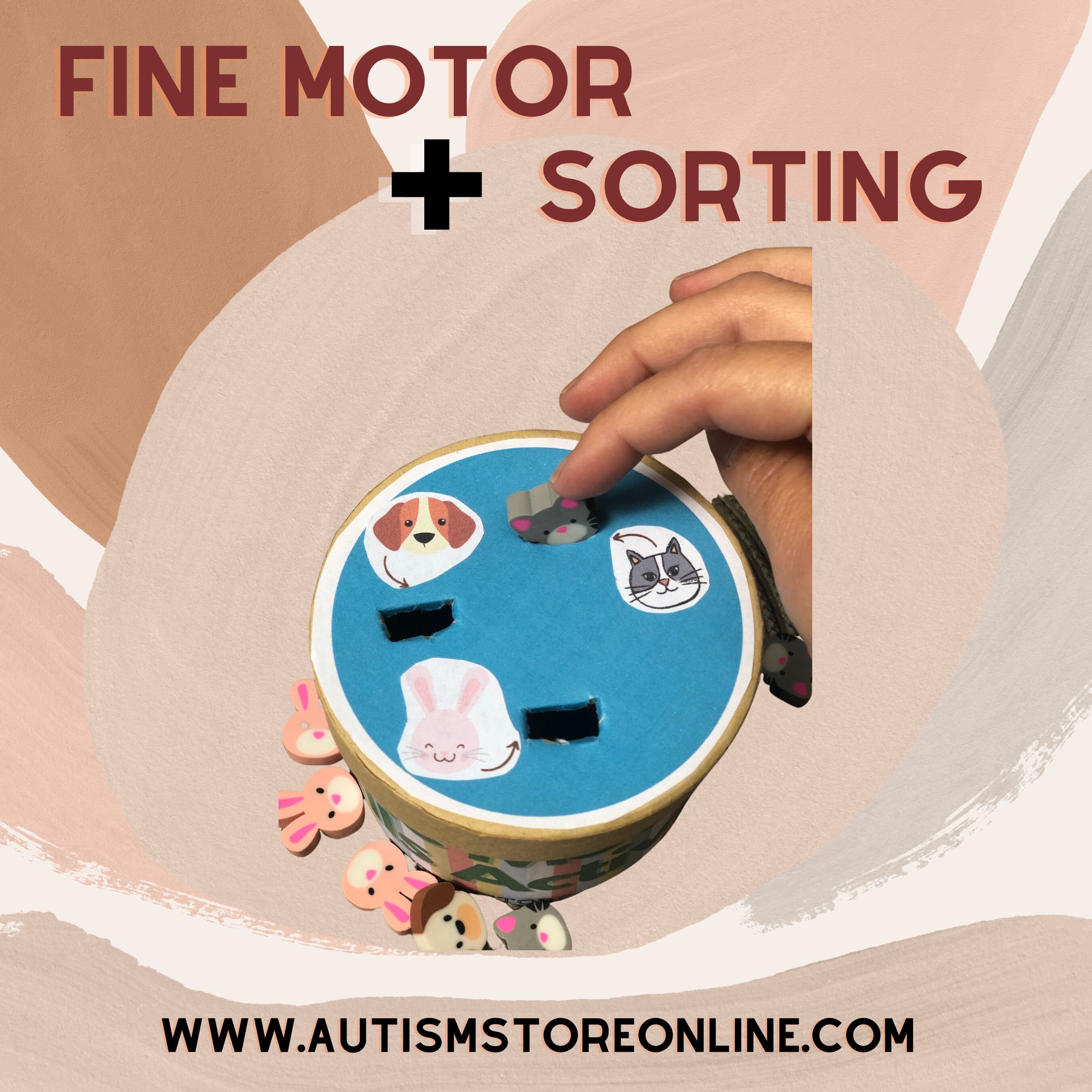 Fine Motor Skills, Sorting Activity, Special Education, Easy Activities ...
