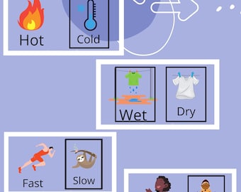 CVC Words Matching Task Cards-phonics Autism & SPED Resources - Etsy