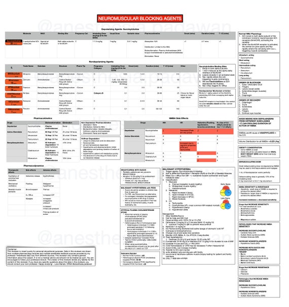 NMBA One Pager - Etsy