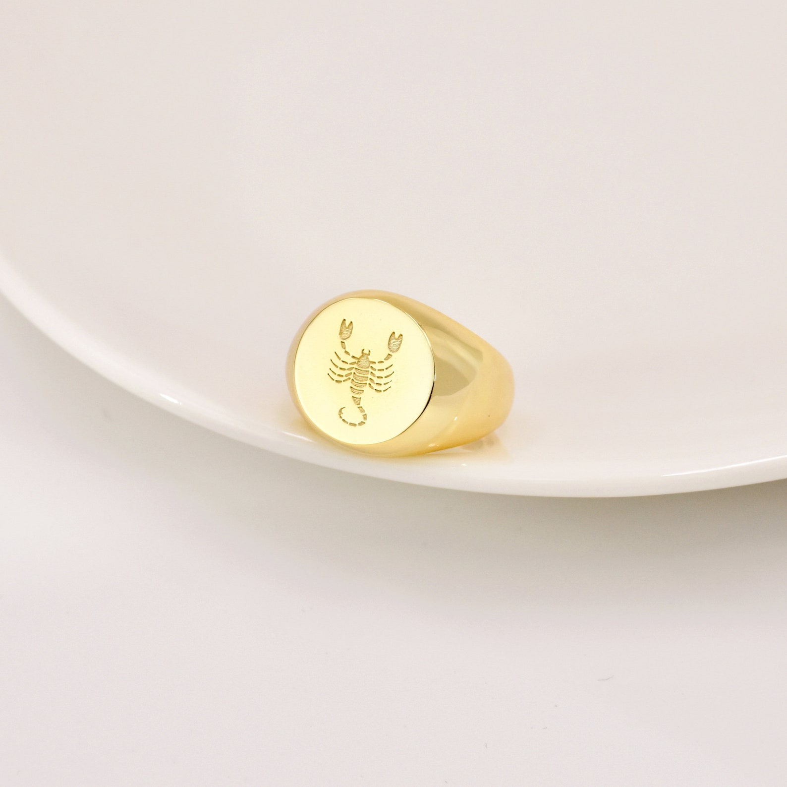 Zodiac Signet Ring Zodiac Ring Custom Zodiac Jewelry in - Etsy UK