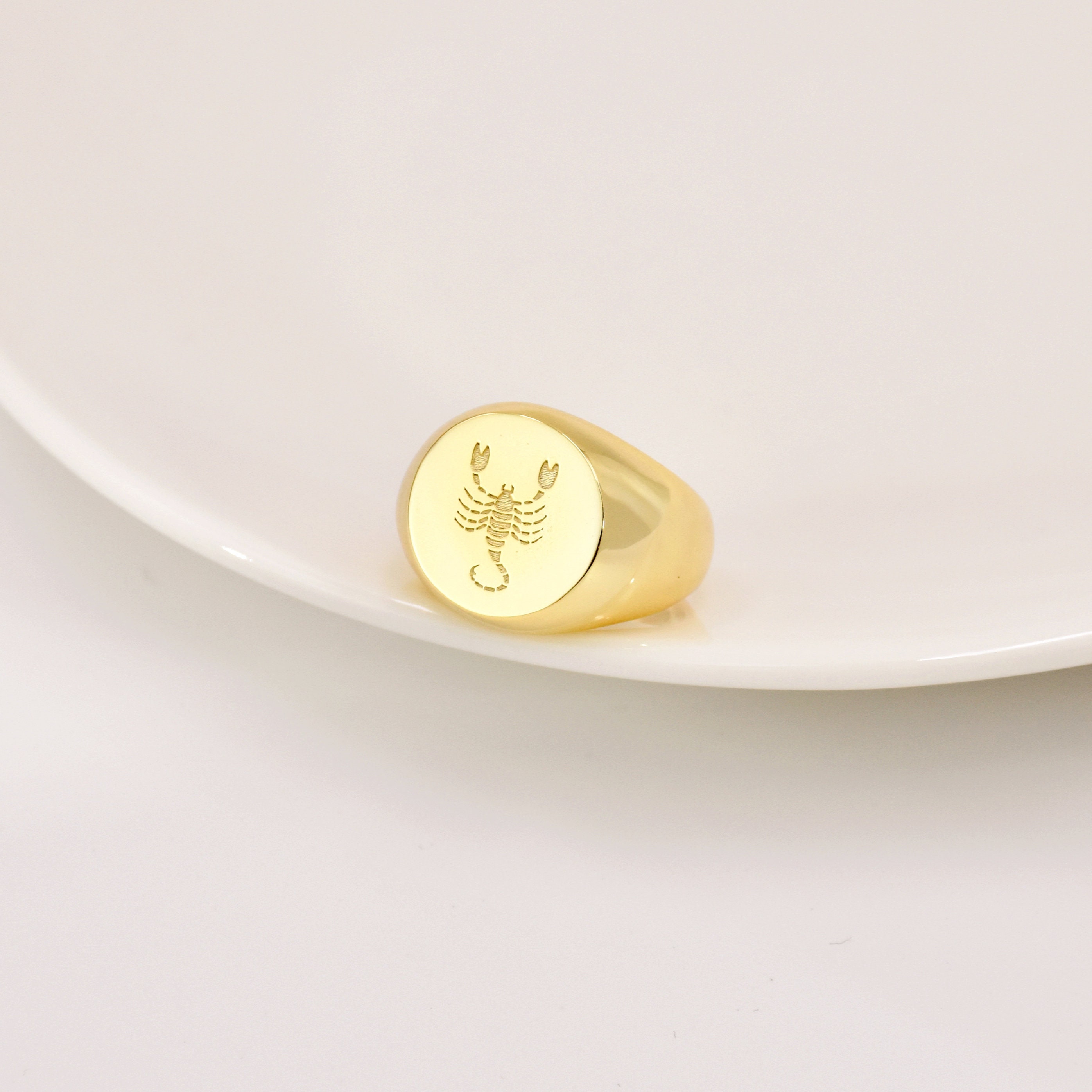 Zodiac Signet Ring, Zodiac Ring, Custom Zodiac Jewelry in Sterling ...