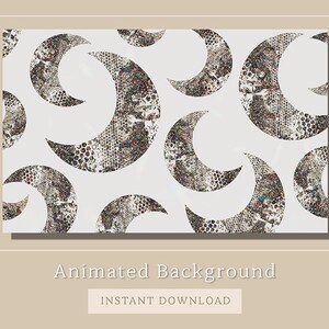 Glittering Moon Animated Background, Full HD, Mp4+gif+static Images ...