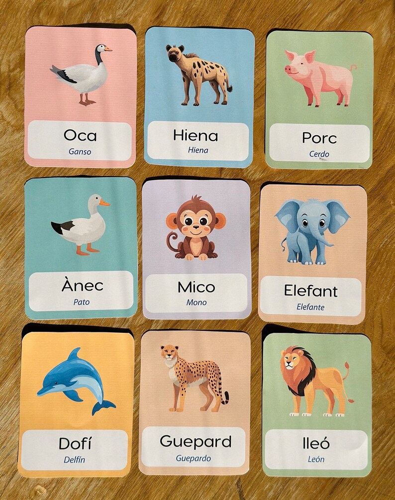 50 Animal Names Flash Cards With Spanish Translation and Stickers to ...
