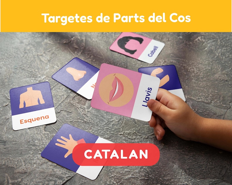 Parts Del Cos Flashcards, Printable Parts of Body Cards for Kids in ...
