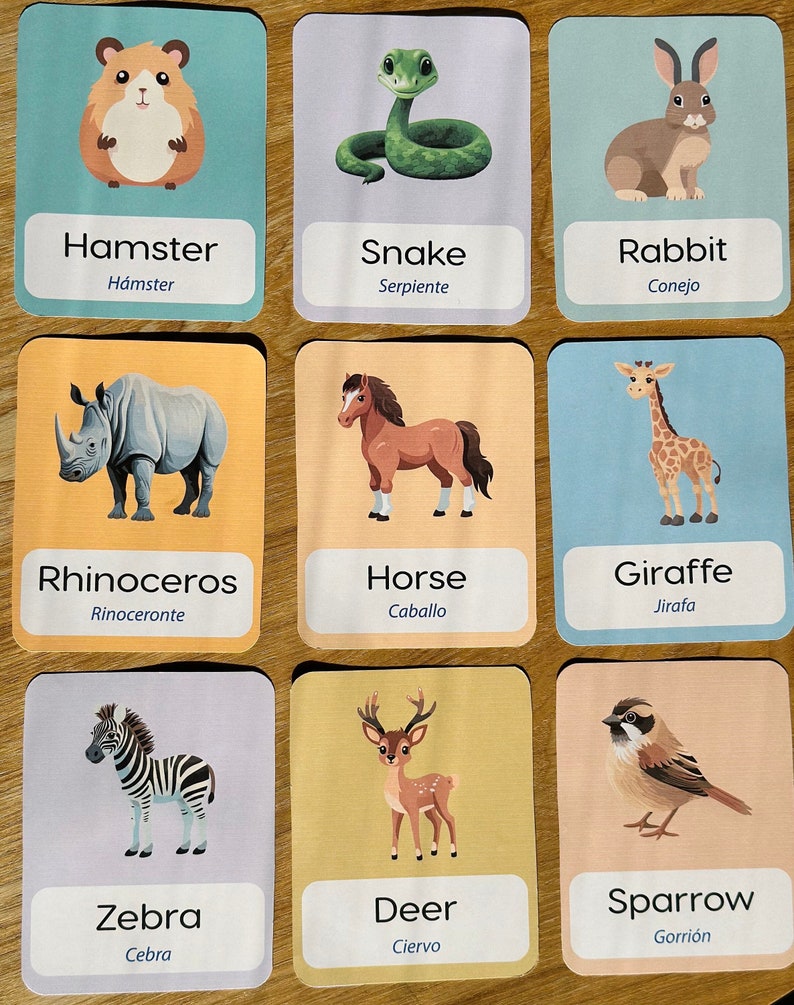 50 Animals Flash Cards With Matching Stickers - English and Spanish ...