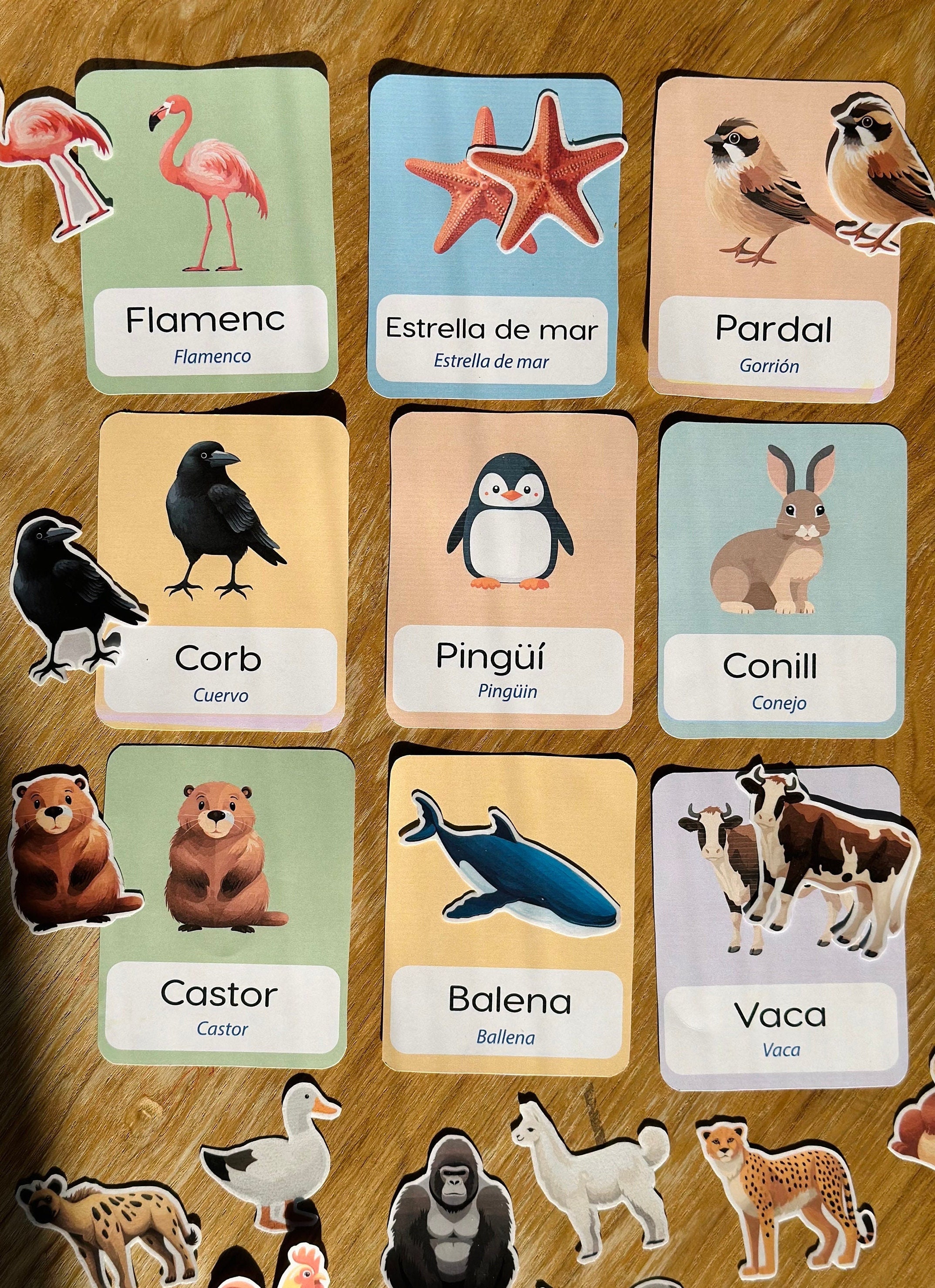 50 Animal Names Flash Cards With Spanish Translation and Stickers to ...