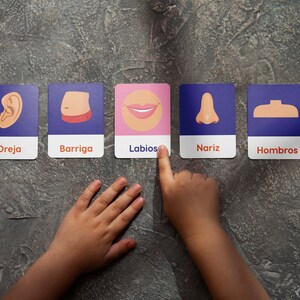 Tarjetas didácticas imprimibles de las partes del cuerpo en español ...