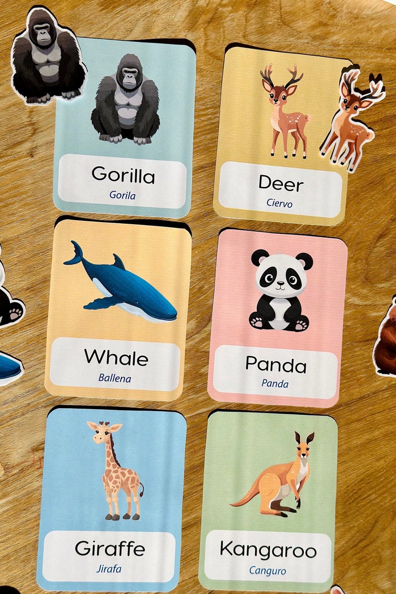 50 Animals Flash Cards With Matching Stickers - English and Spanish ...