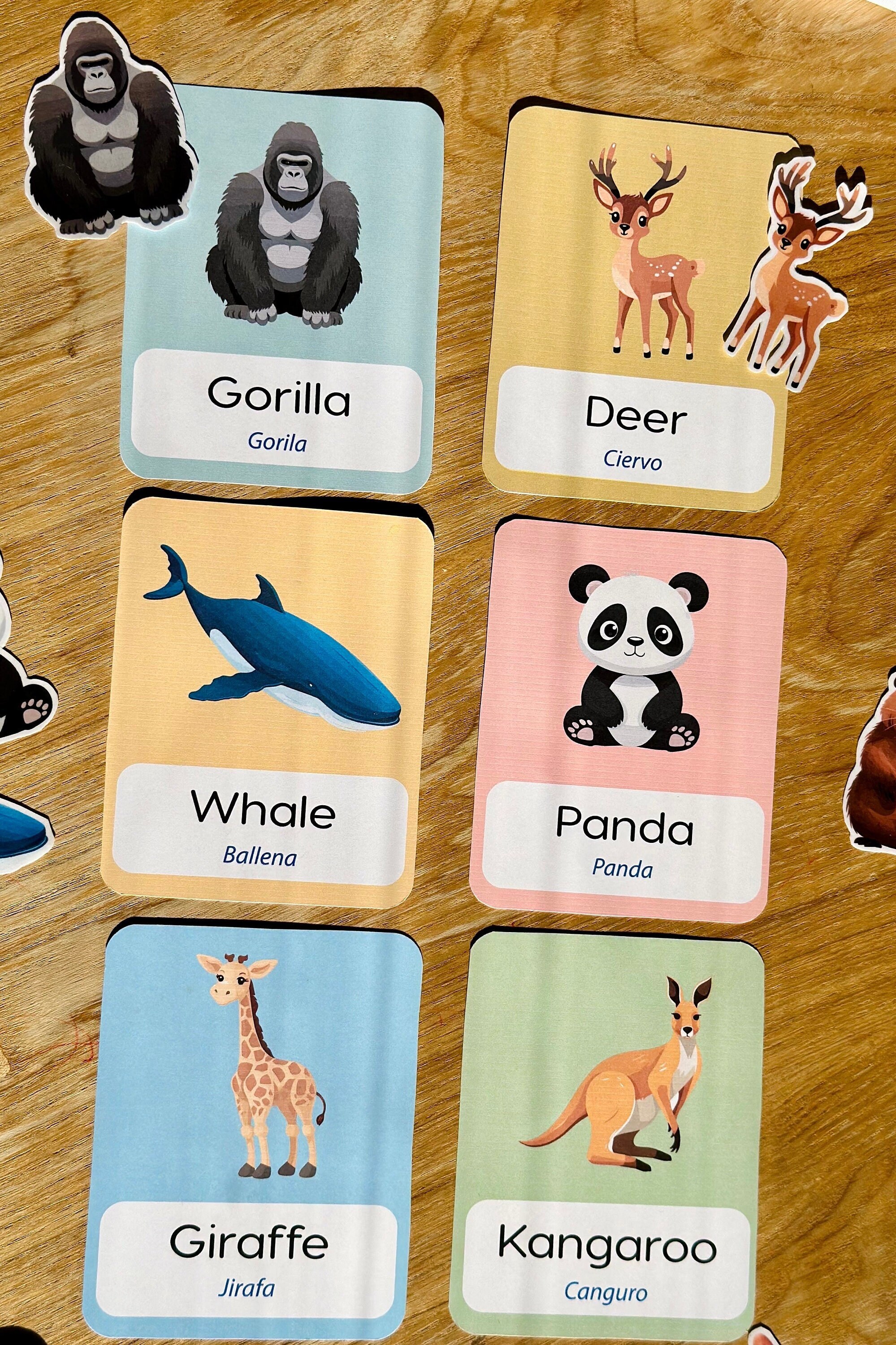 50 Animals Flash Cards With Matching Stickers - English and Spanish ...
