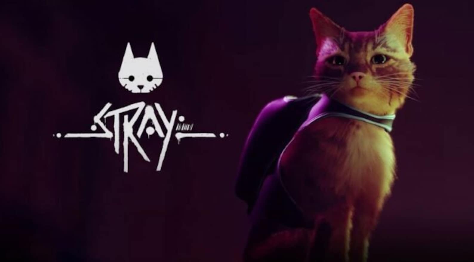 Stray Cat & B12 Minimalist 3 Small Cross Stitch Two - Etsy