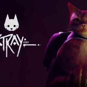 Stray Cat & B12 Minimalist 3 Small Cross Stitch Two Patterns Set ...