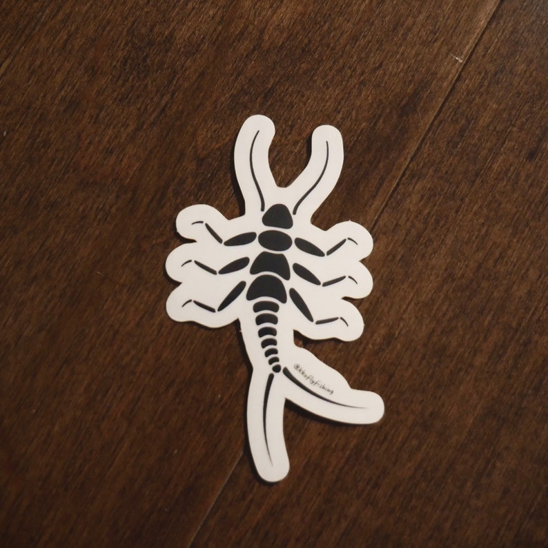 Stonefly Nymph | Vinyl Fly Fishing Sticker - Etsy