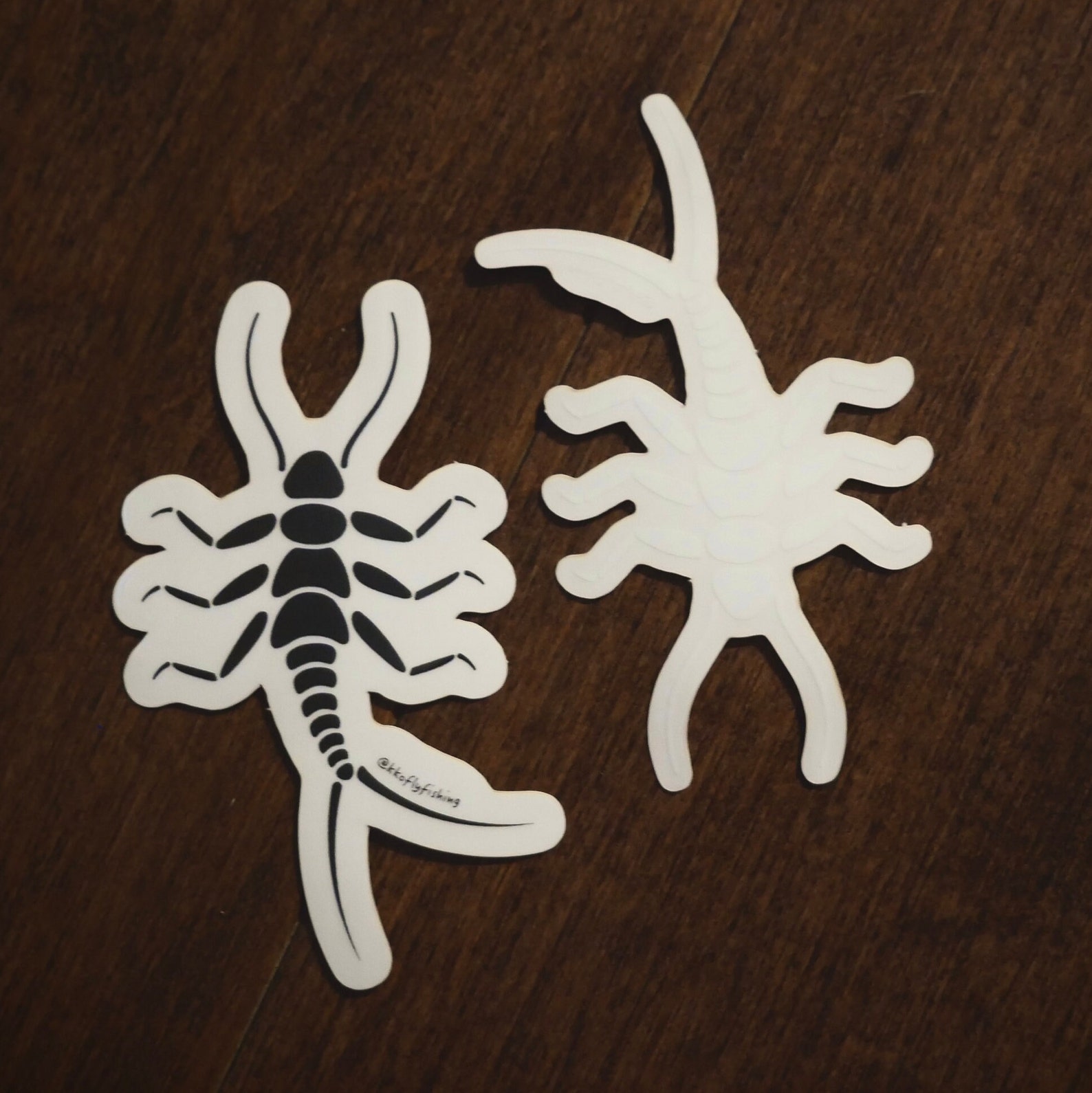 Stonefly Nymph | Vinyl Fly Fishing Sticker - Etsy