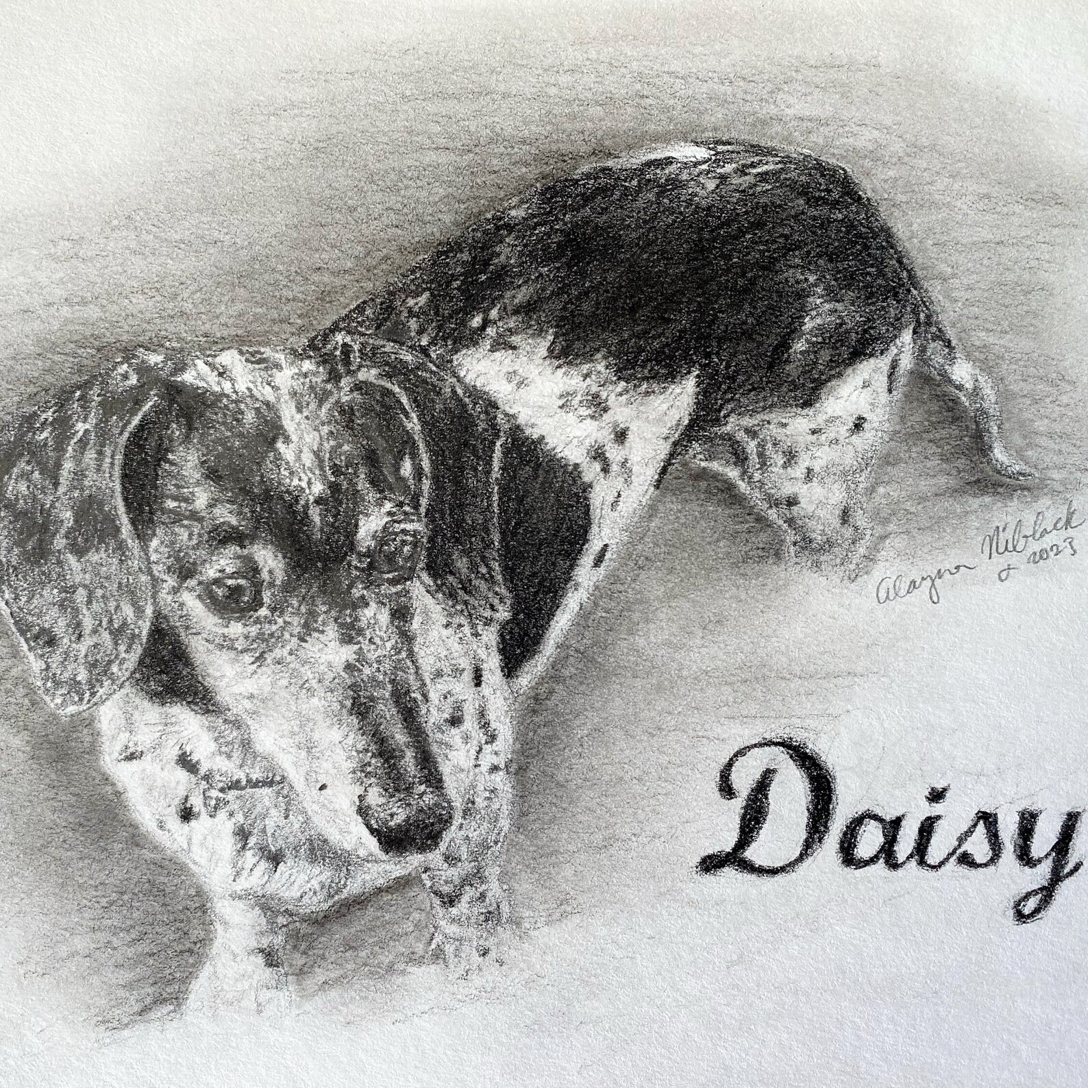 Custom Pet Portrait, Pet Memorial Portrait, Pet Portrait, Graphite Pet ...