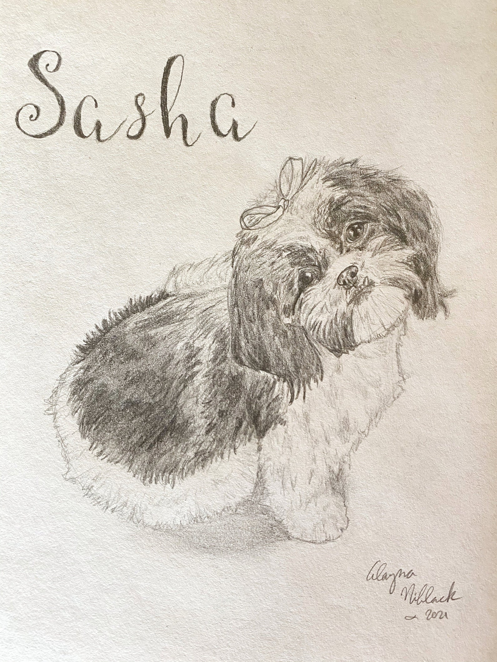 Custom Pet Portrait, Pet Memorial Portrait, Pet Portrait, Graphite Pet ...