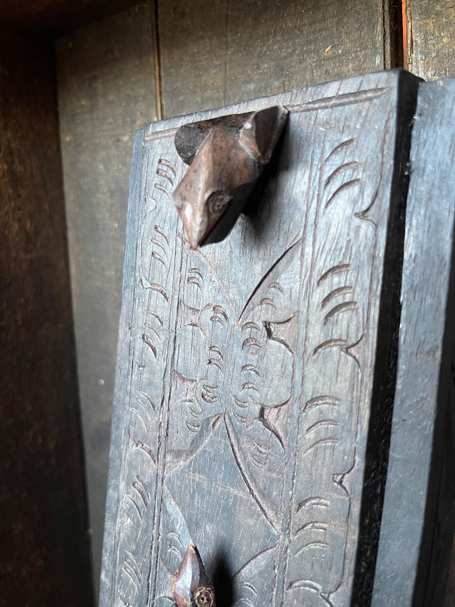 Hand Carved Wooden Chopstick Box With Lizard and Frog and Sliding Lid ...