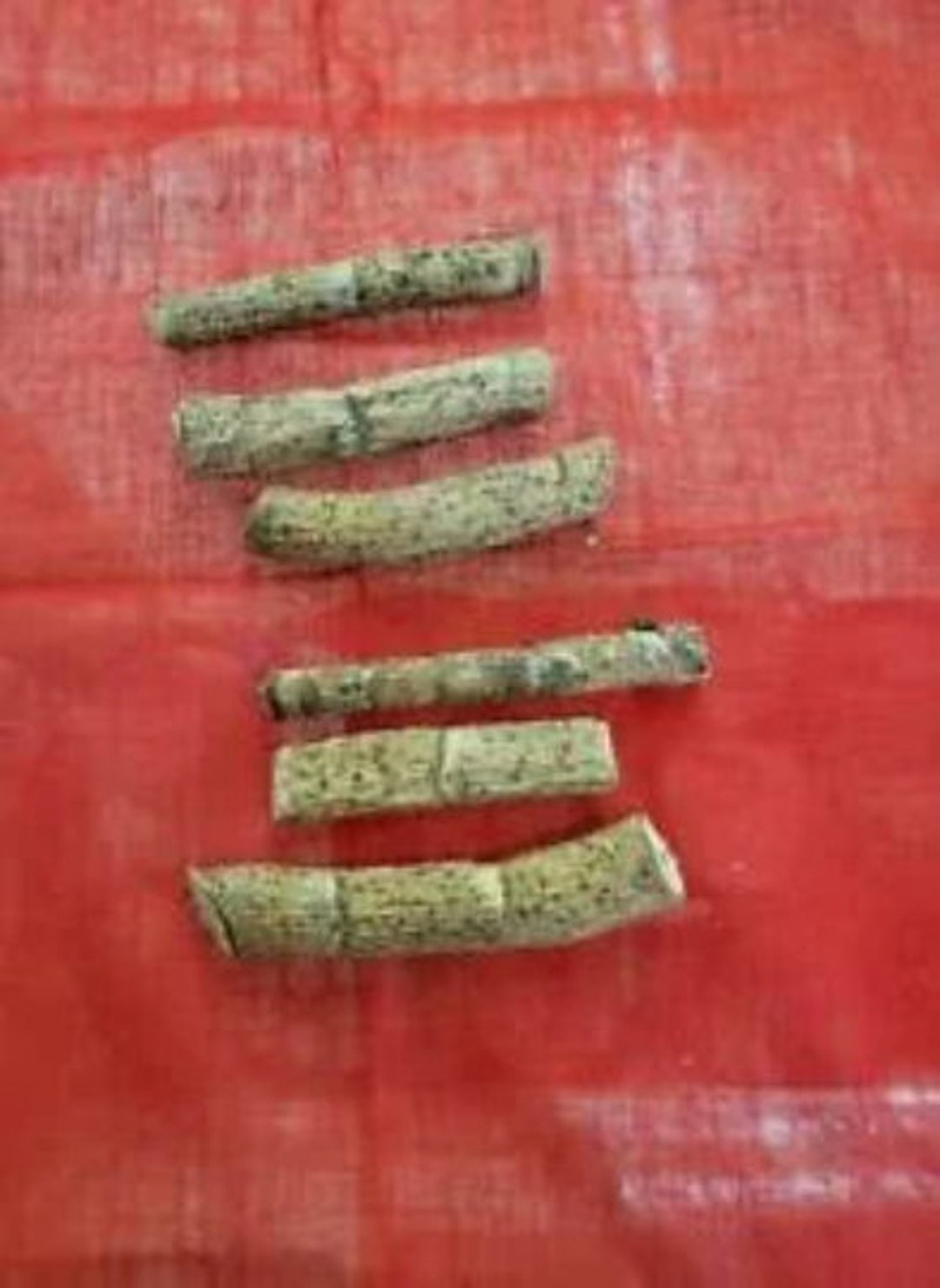 6 Palo RASPA LENGUA Santeria Palo Prenda - Etsy