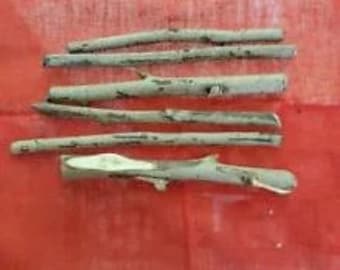 6 Palo Cambia Rumbo Santeria Palo Prenda - Etsy