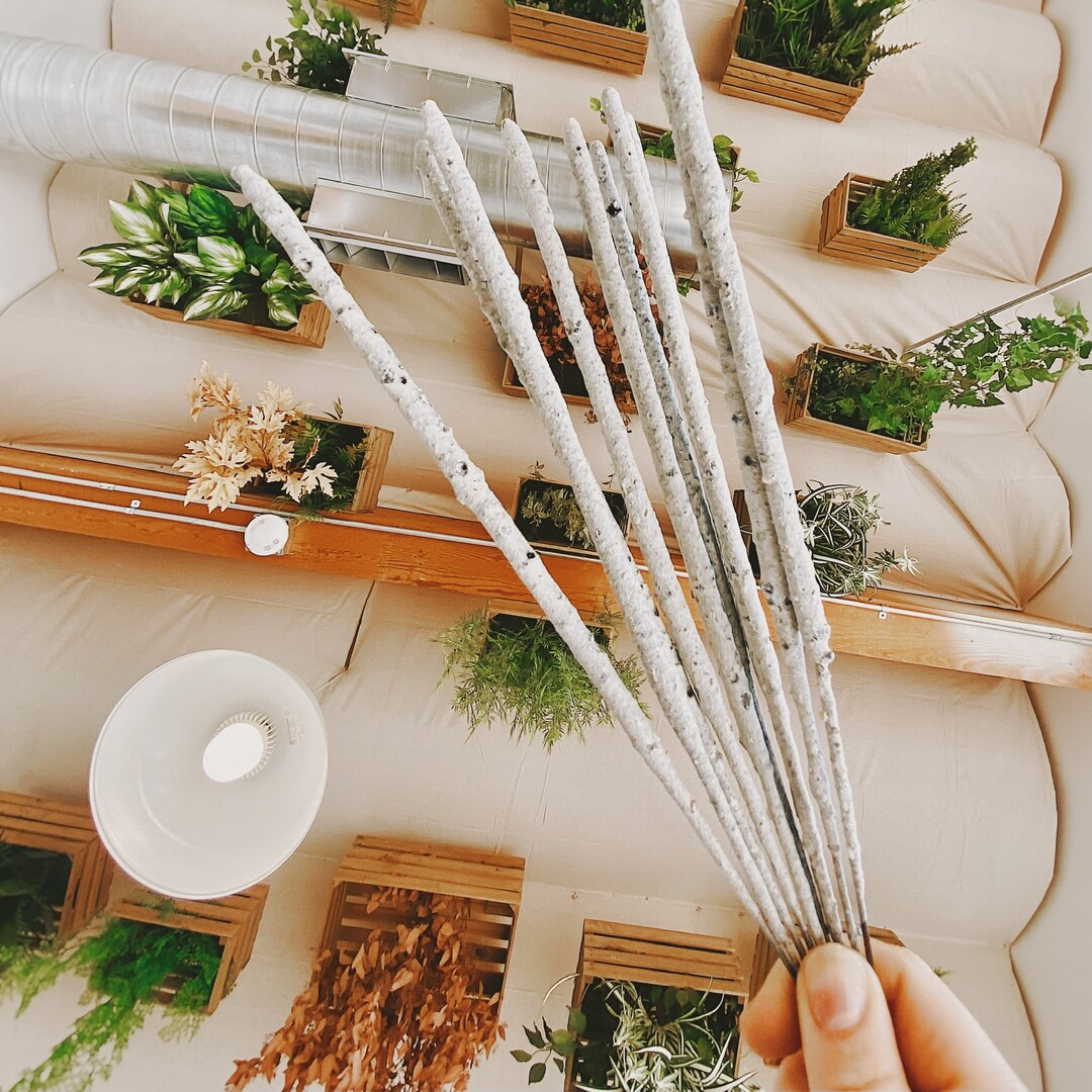 COPAL INCENSE Hand Rolled in Tulum 10 Pack 2h Burn Time/stick 100% Pure ...